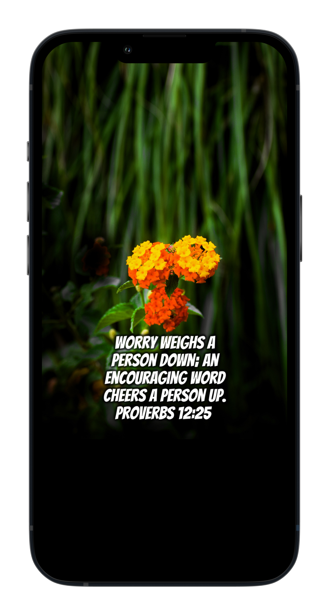Biblical wallpapers – Biblical Encouragement